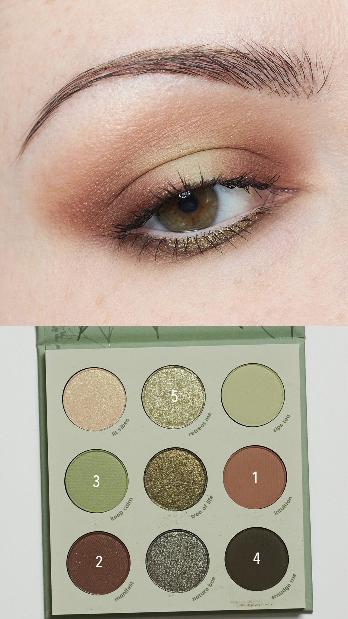 ColourPop Sage The Day Palette Review - Coffee & Makeup