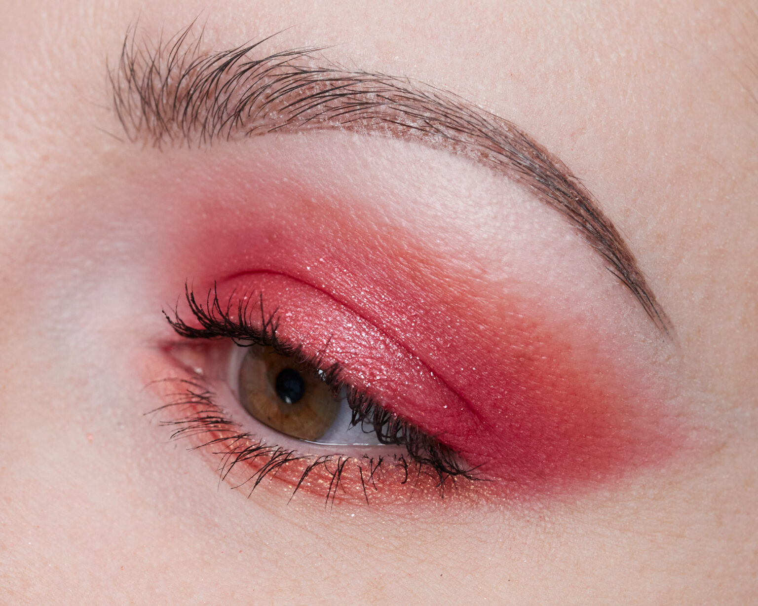 ColourPop Lost In Love Palette Review - Coffee & Makeup
